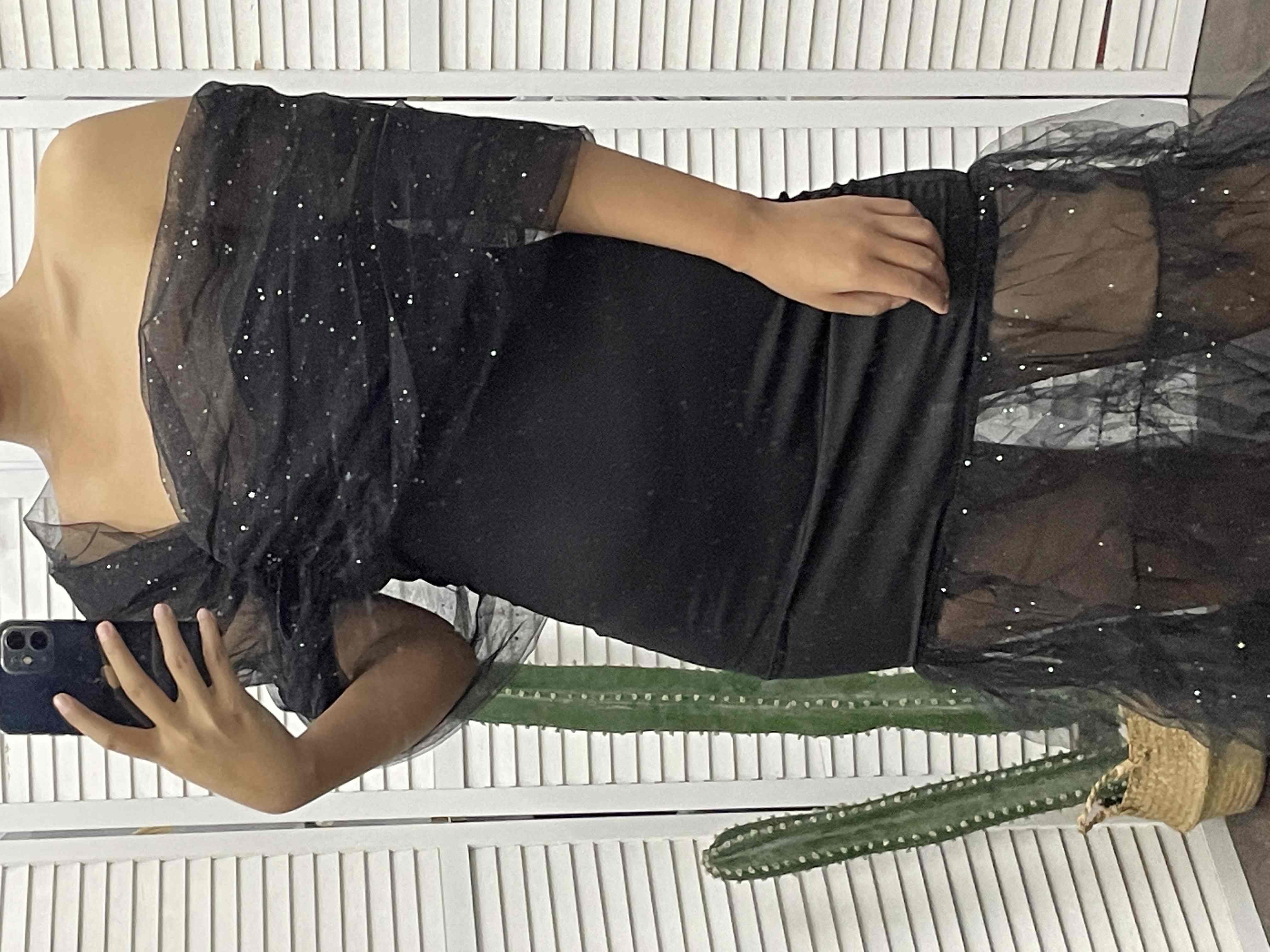 Glitter Layered Sheer Mesh Party Dress
