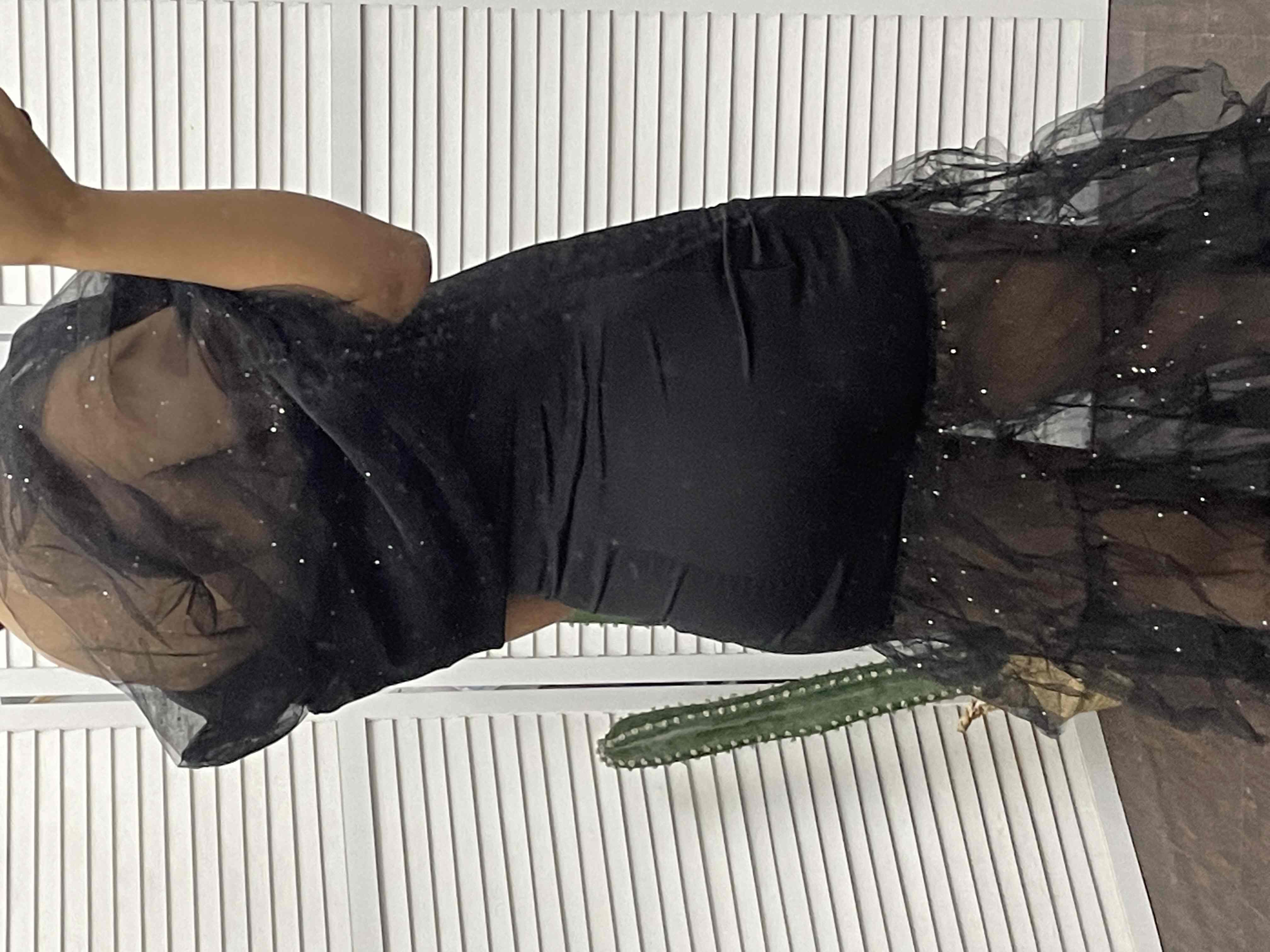 Glitter Layered Sheer Mesh Party Dress