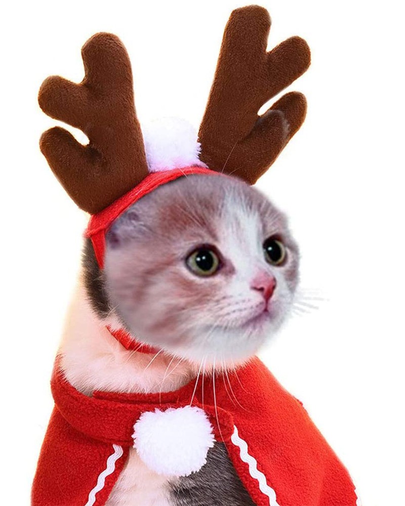 Christmas Reindeer Hat With Cloak For Pets