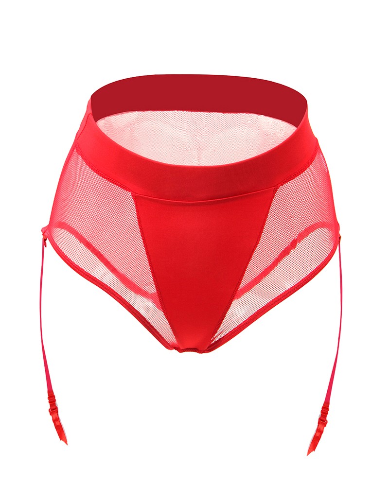 Sheer Mesh Garter With Panty