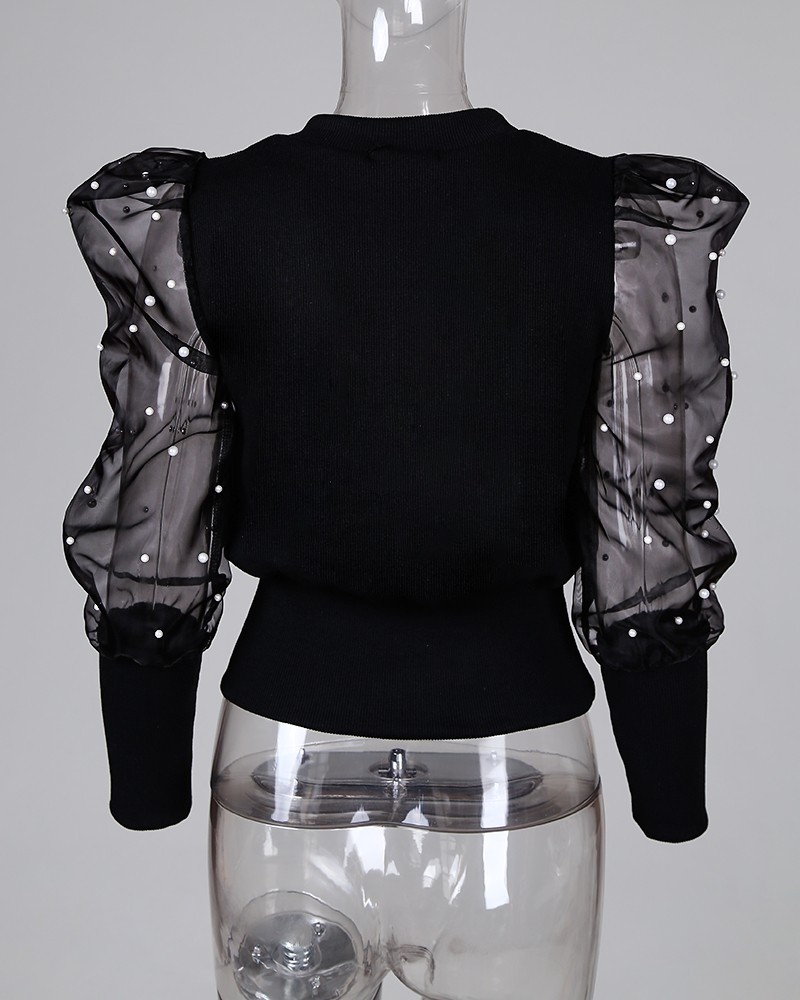 Beaded Design Sheer Mesh Puff Sleeve Top